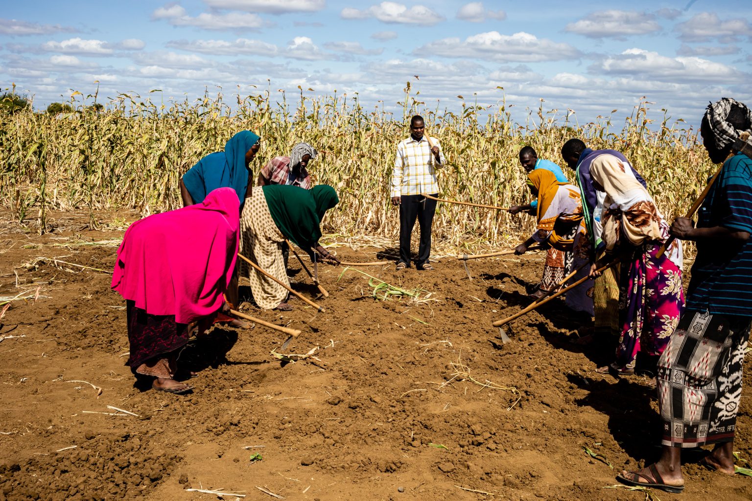 Transitional Cash and Livelihoods Support – Somali Emergency Aid (SEA)